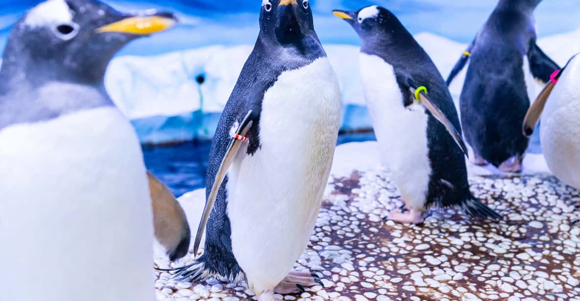 SEA LIFE London Entrance Ticket | GetYourGuide