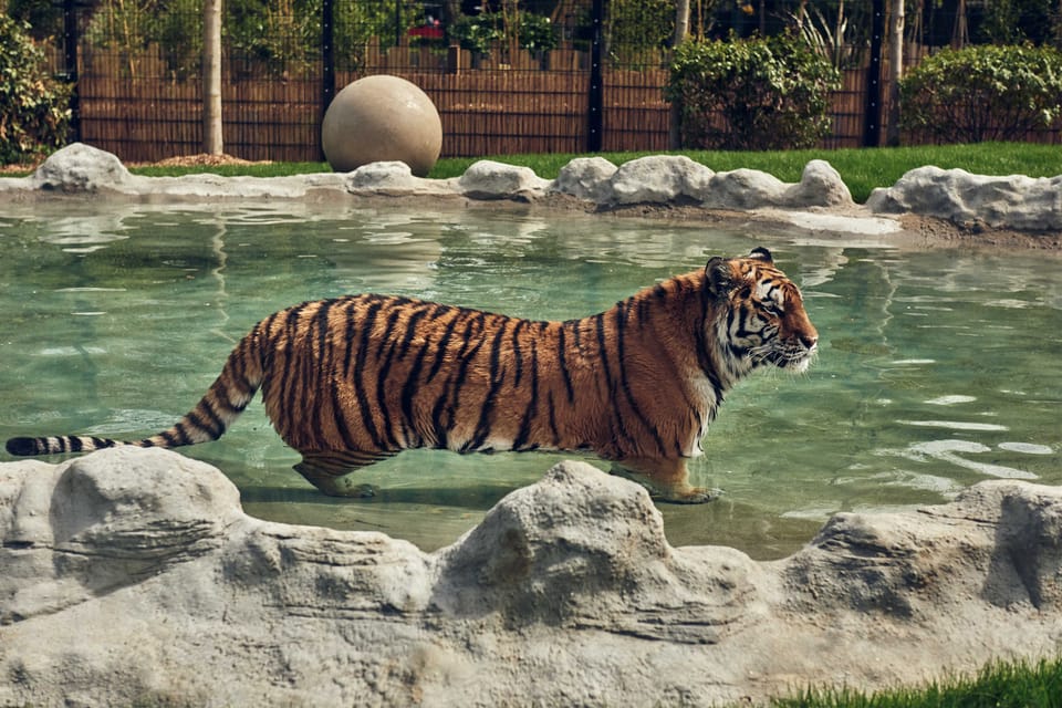 Chessington World of Adventures Resort: Entrance Ticket | GetYourGuide