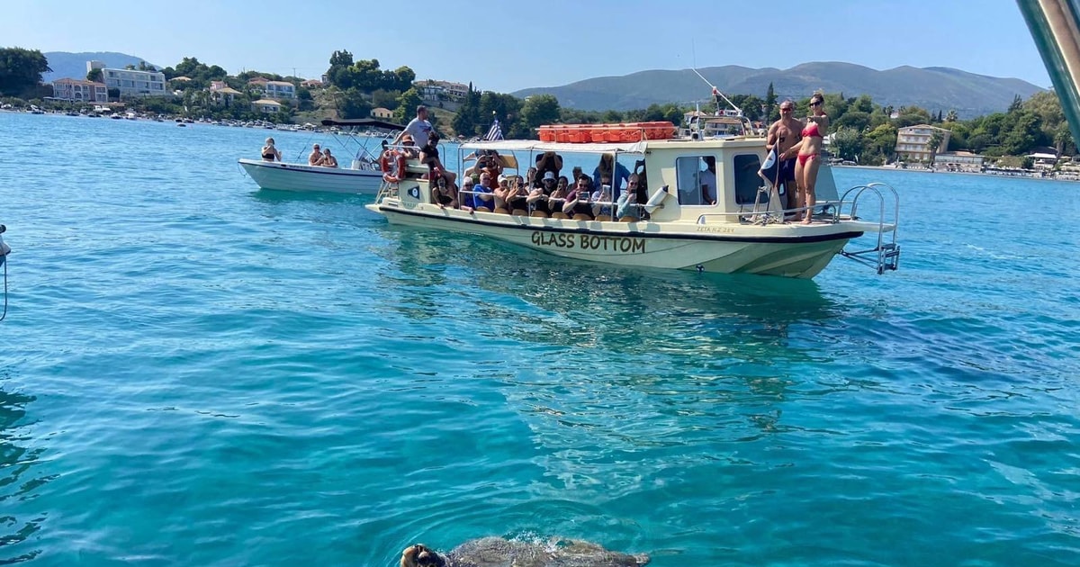 Glass boat cruises to spot turtles | GetYourGuide