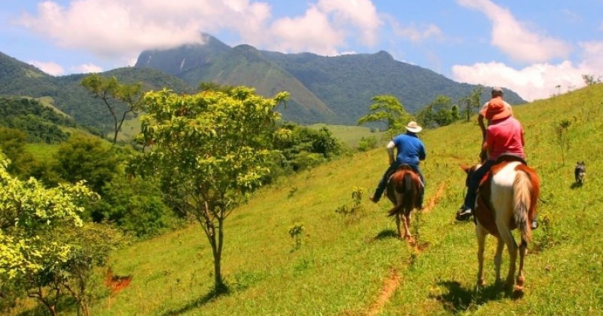 Paraty: 3-Hour Rainforest Horseback Ride & Waterfall Tour | GetYourGuide