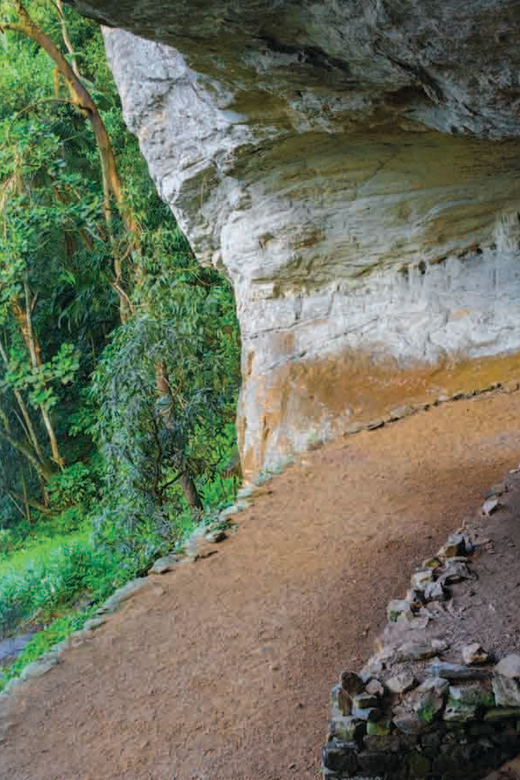 From Kitulgala: 3-Hour Belilena Caves Excursion | GetYourGuide