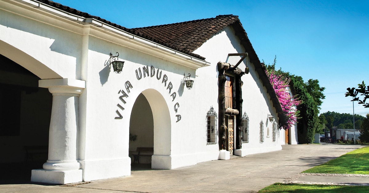 Undurraga: Official Winery Tour | GetYourGuide