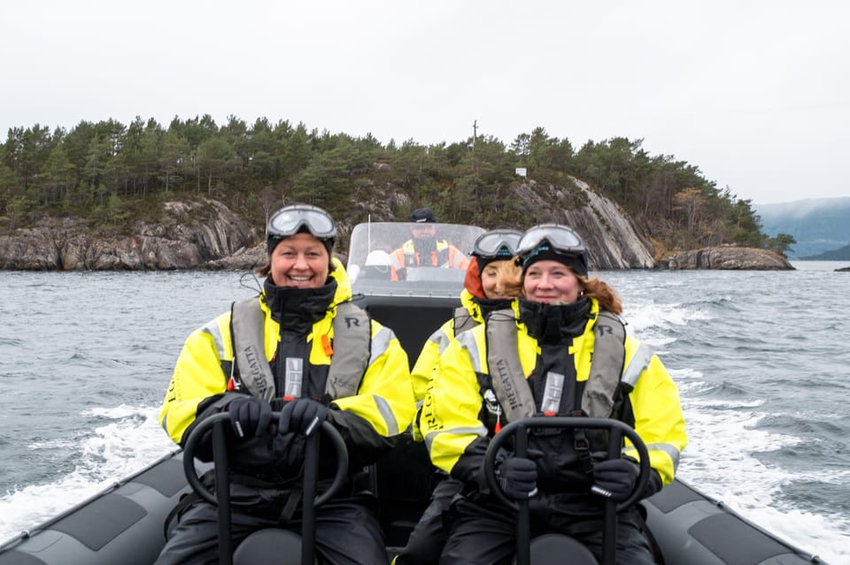Rosendal: Hardangerfjord RIB safari tour | GetYourGuide