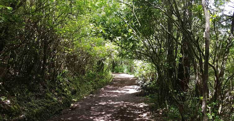 Madeira: Private Guided Levada Caldeirão Verde Walk PR9 | GetYourGuide