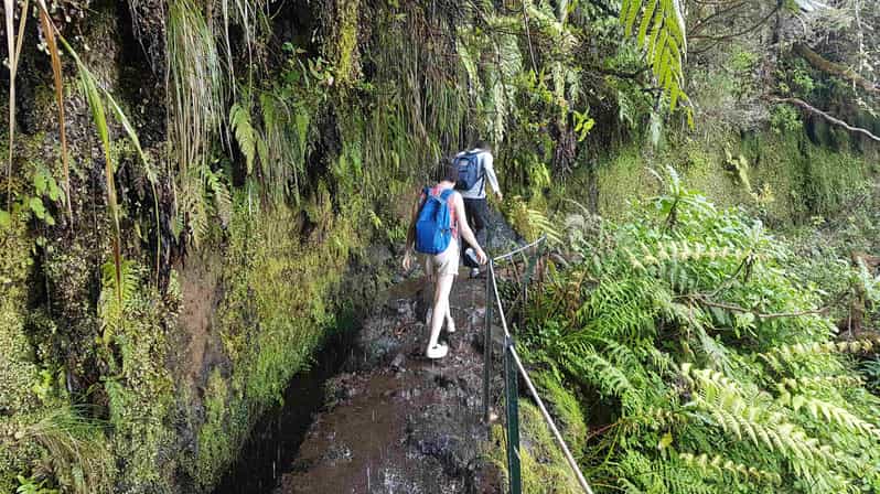 Madeira: Private Guided Levada Caldeirão Verde Walk PR9 | GetYourGuide