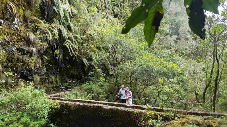 Madeira: Private Guided Levada Caldeirão Verde Walk PR9 | GetYourGuide