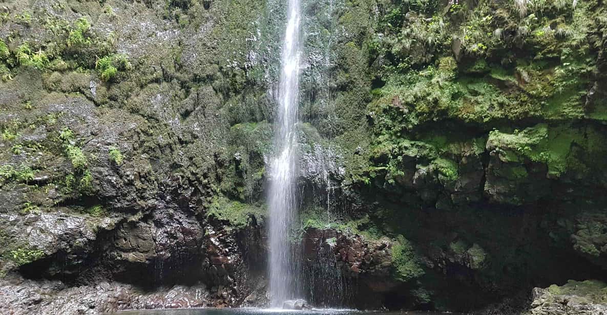 Madeira: Private Guided Levada Caldeirão Verde Walk PR9 | GetYourGuide