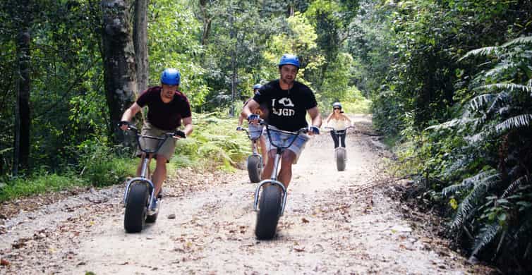 Knysna: Downhill Forest Scootour Adventure | GetYourGuide