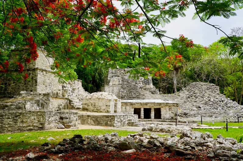 Tulum: Excursión a las Lagunas de Sian Ka'an y al Cenote Escondido ...
