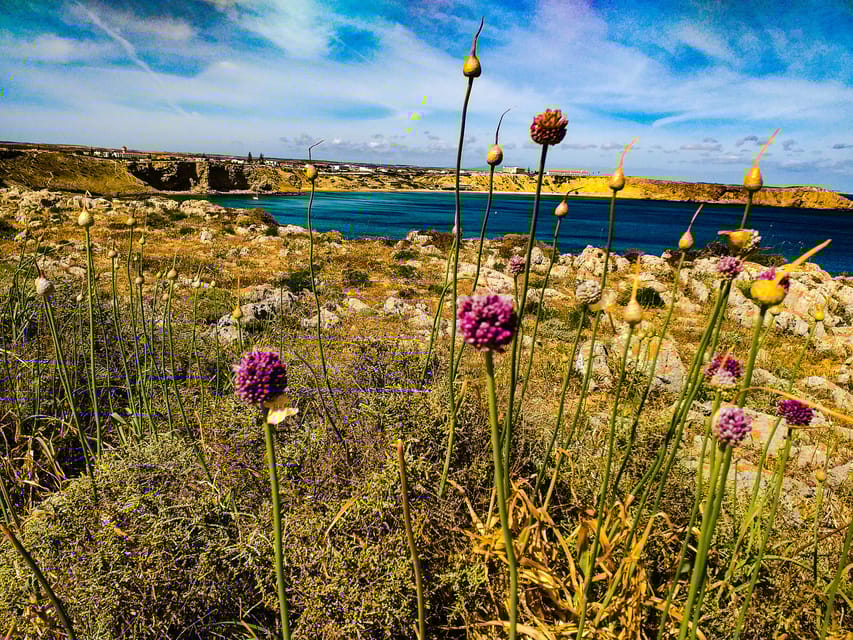 From Lagos: Wild and Wonderful West Coast Full-Day Tour | GetYourGuide