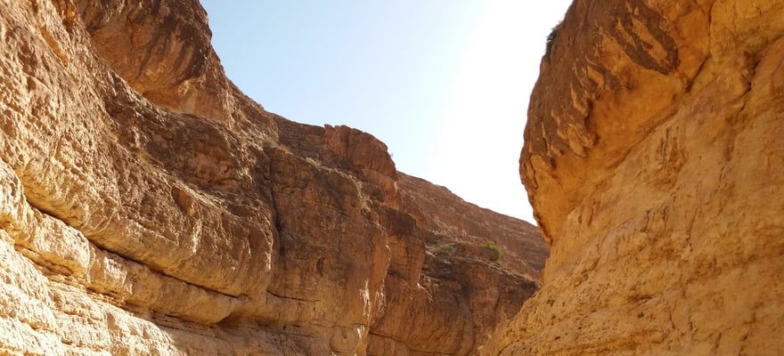 EN İYİ Tuzer ili Gruplar için ideal 2024 - ÜCRETSİZ İptal | GetYourGuide