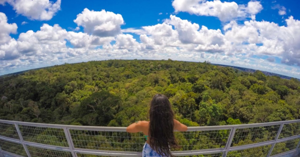Manaus: Musei MUSA e INPA con tour della Torre di Osservazione | GetYourGuide