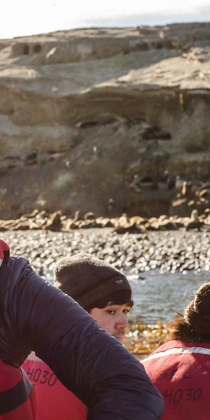 Punta Arenas: Walk with Penguins on Magdalena & Marta Island | GetYourGuide