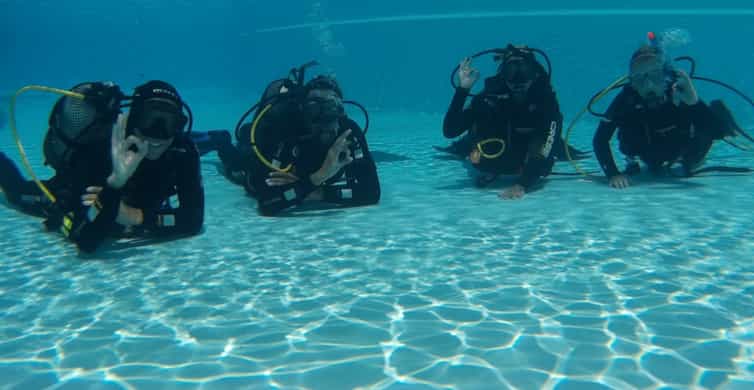 Madeira: 3-Hour Guided Scuba Diving Experience | GetYourGuide