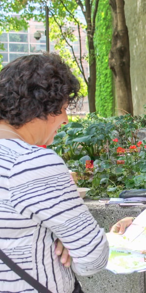 Toronto: City Sightseeing Hop-On Hop-Off Bus Tour | GetYourGuide