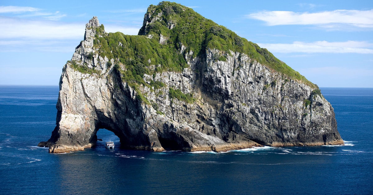Paihia/Russell: Hole in the Rock, Dolphins & Island Cruise | GetYourGuide