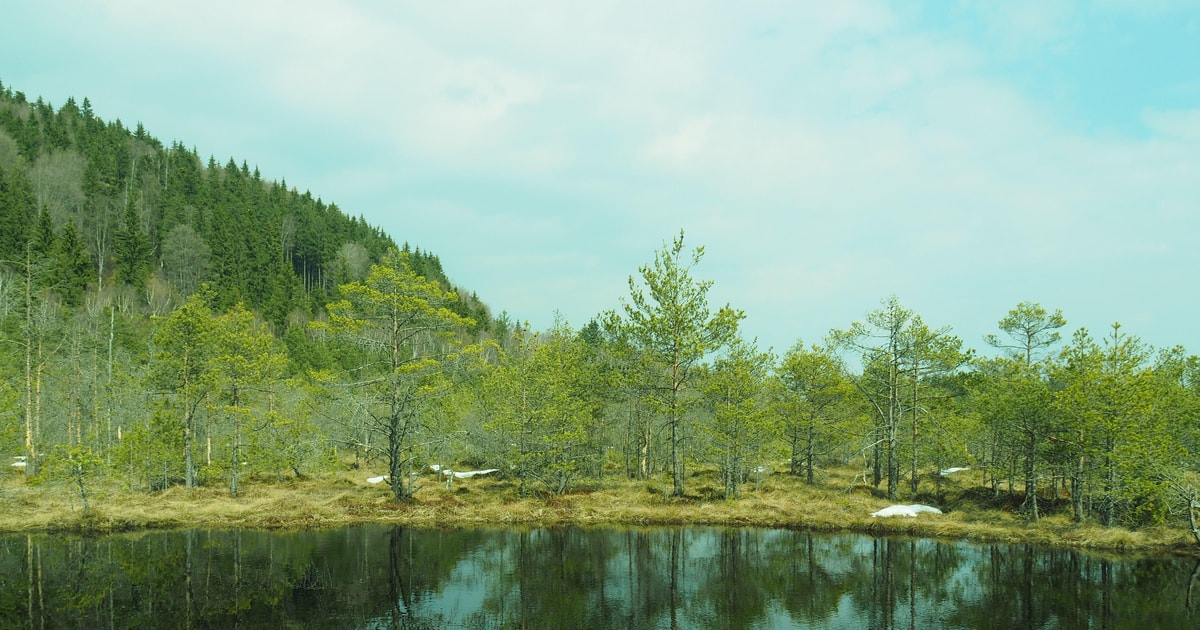 Ab Kronstadt: Tagestour zum Vulkansee in kleiner Gruppe | GetYourGuide