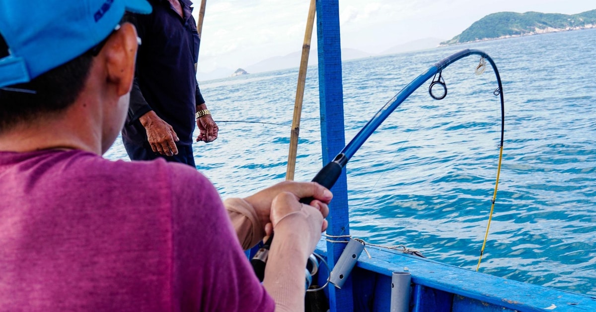 Phu Quoc Night Squid Fishing Experience | GetYourGuide