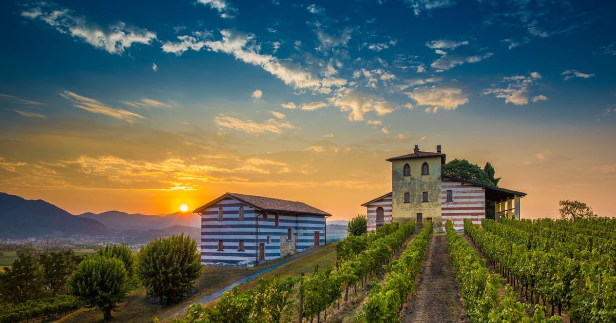 Milan: Franciacorta Winery and Bergamo Day Trip with Lunch | GetYourGuide