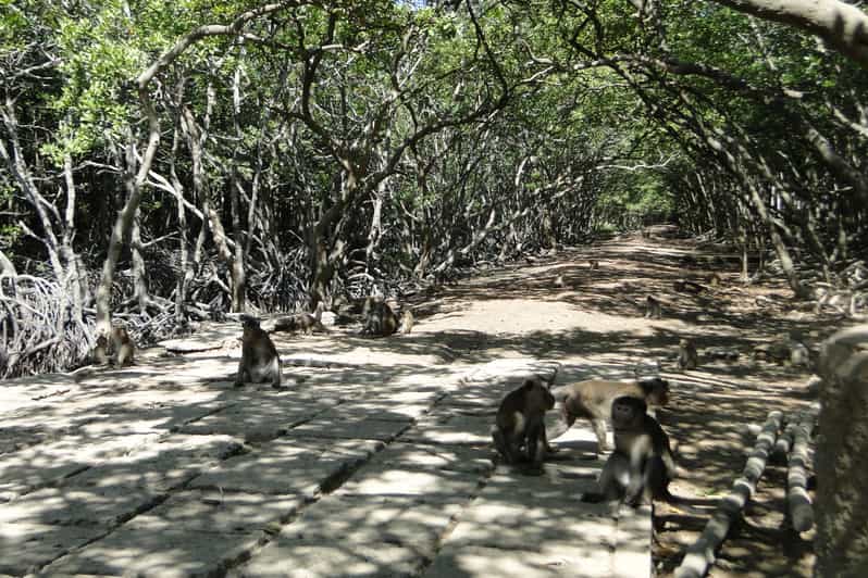 Van Ho Chi Minh-stad: Monkey Island Excursion by Boat | GetYourGuide