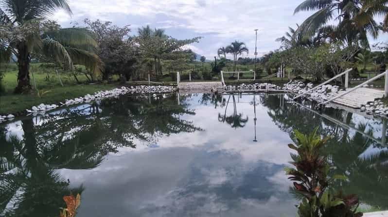 Sabeto: Garden of Sleeping Giant and Mudpool Hotspring Tour | GetYourGuide