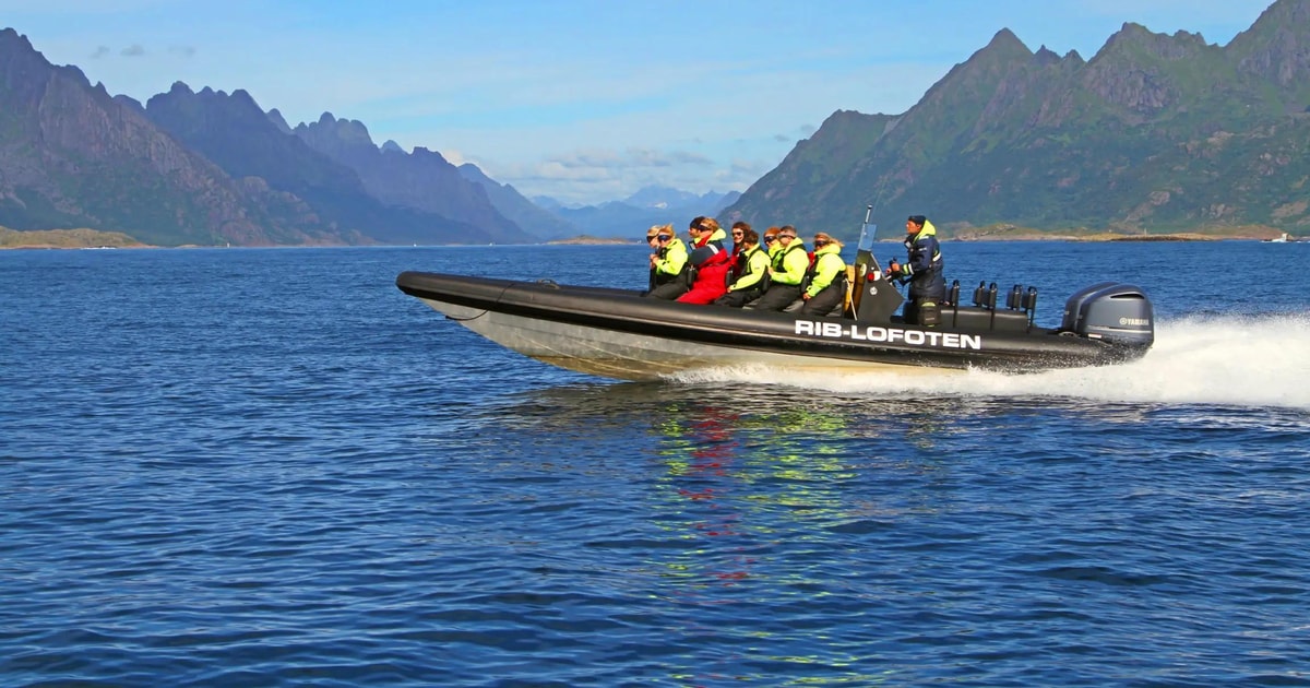 From Svolvær: Lofoten RIB Sea Eagle Safari Trollfjord Cruise | GetYourGuide