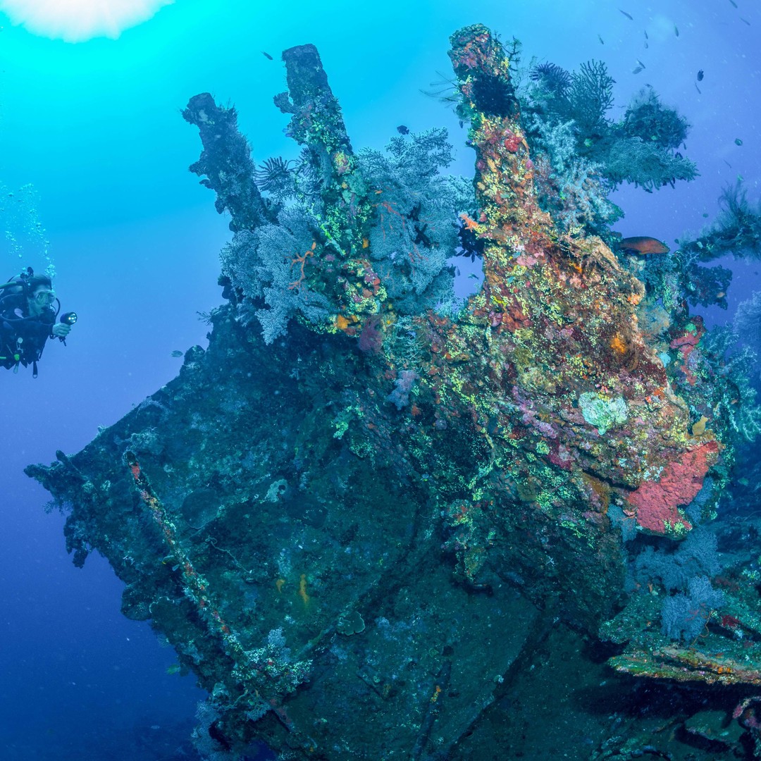 Bali: Tulamben Bay and the USAT Liberty Wreck Dive | GetYourGuide