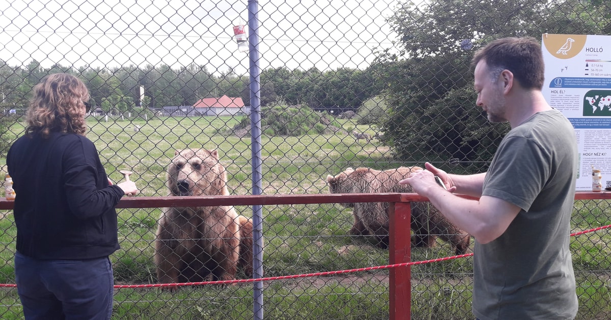Budapest Transport And Guided Tour Of Bear And Wolf Sanctuary Getyourguide