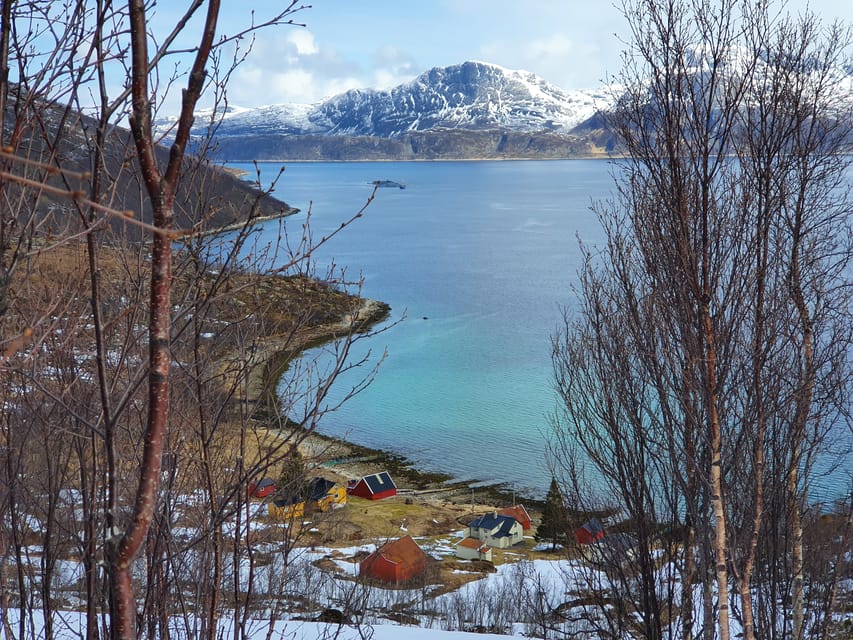 Tromsø: Subarctic Fjord Private Tour with Hotel Pickup | GetYourGuide
