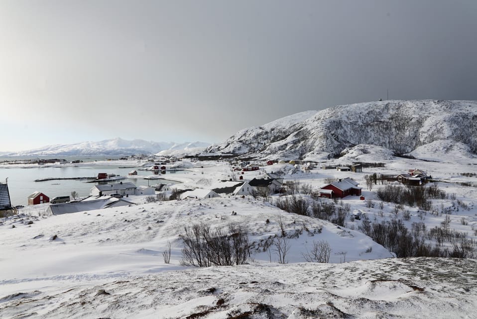 Tromsø: Subarctic Fjord Private Tour with Hotel Pickup | GetYourGuide