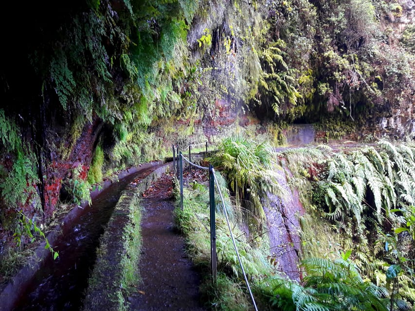 From Funchal: São Jorge Valleys Levada Walk | GetYourGuide