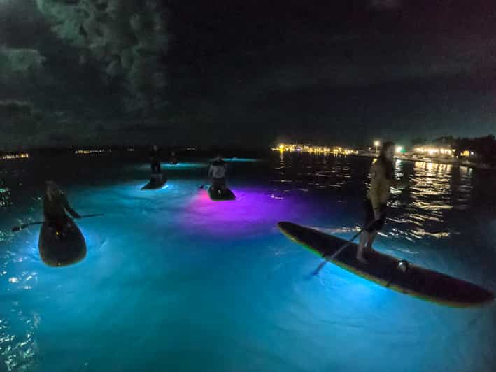 Split: Stand Up Paddleboard Night Glow Tour | GetYourGuide