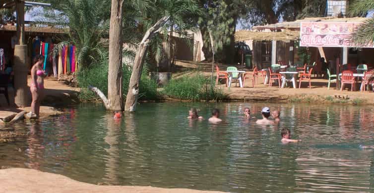 From Djerba: Full-Day Ksar Ghilane, Sahara and Oasis Tour | GetYourGuide