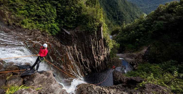 The BEST Coromandel Peninsula Tours and Things to Do in 2024 - FREE ...