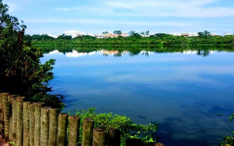 Rio de Janeiro Nature Secrets 'The Eco Citytour' | GetYourGuide