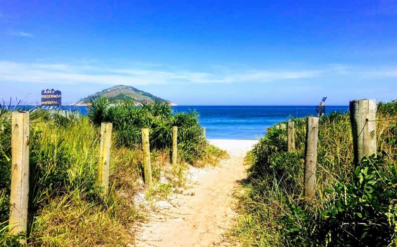 Rio de Janeiro Nature Secrets 'The Eco Citytour' | GetYourGuide