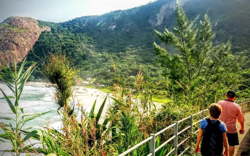 Rio de Janeiro Nature Secrets 'The Eco Citytour' | GetYourGuide