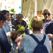 Split: Small Group Food Tour | GetYourGuide