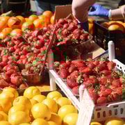 Split: Small Group Food Tour | GetYourGuide