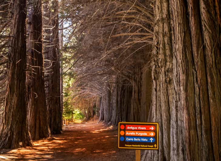 Bariloche: Boat Tour to Victoria Island and Arrayanes Forest | GetYourGuide