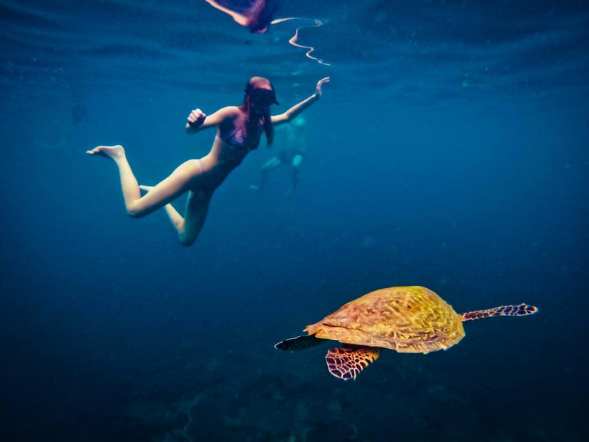 Ko Tao: Late Riser Island Hopping Tour with Lunch and Sunset | GetYourGuide