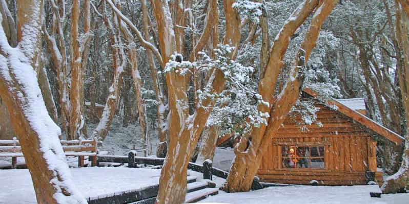 Lake Excursion to Victoria Island and Arrayanes Forest | GetYourGuide