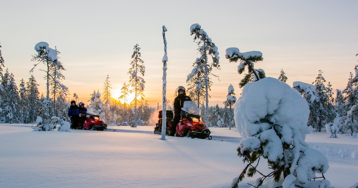 Rovaniemi: Safari na skuterach śnieżnych na farmie reniferów | GetYourGuide