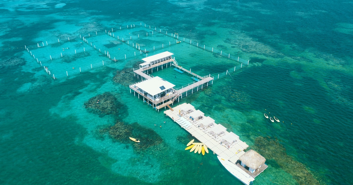 Punta Cana: Reef Explorer | GetYourGuide