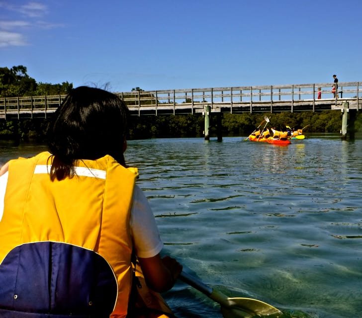 Byron Bay: Brunswick River Scenic Kayak Tour | GetYourGuide
