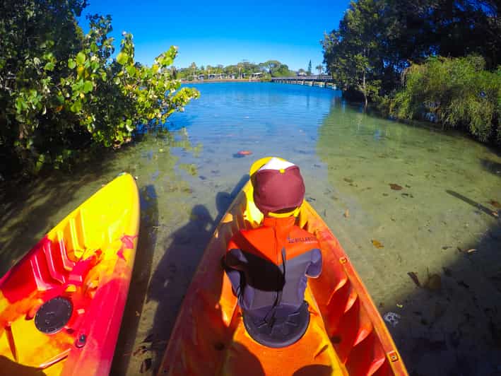 Byron Bay: Brunswick River Scenic Kayak Tour | GetYourGuide