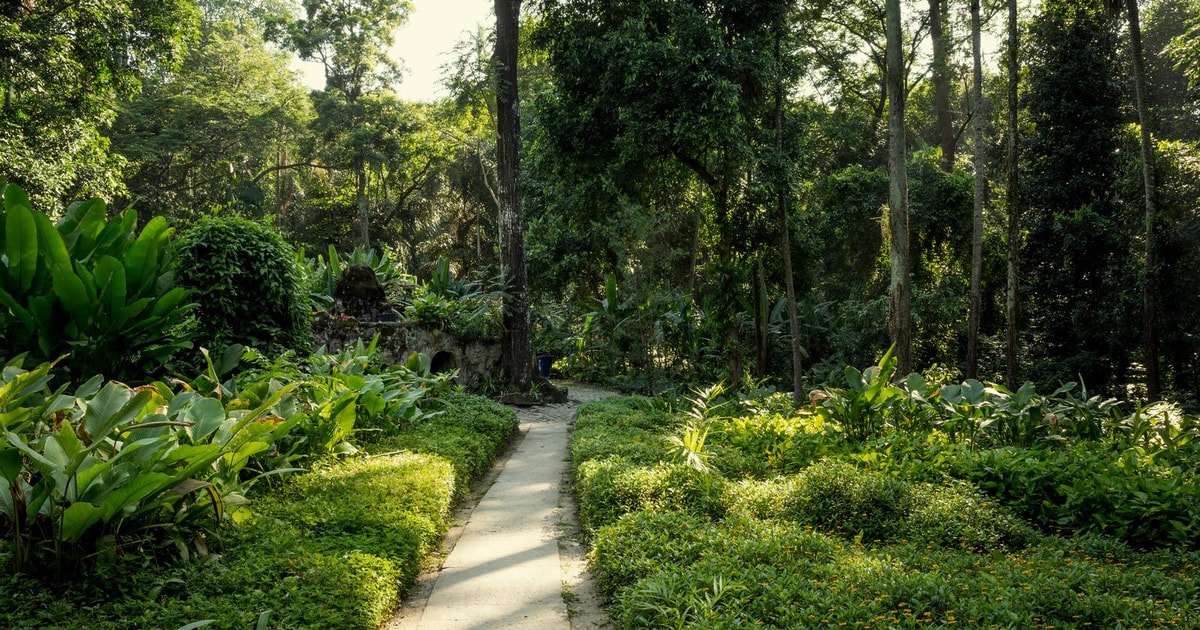 Parque Lage: Historic Mansion and Stunning Gardens in Rio | GetYourGuide