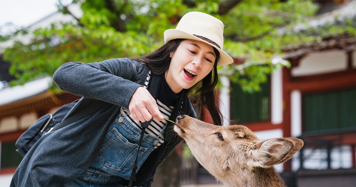 Desde Osaka: Excursión de un día con guía a Kioto y Nara | GetYourGuide