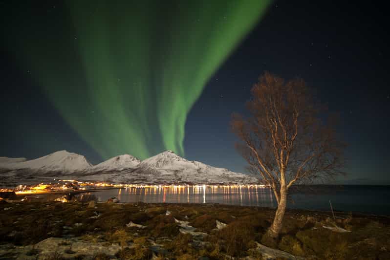 Tromsø 4 Hour Northern Lights Photo Cruise Getyourguide