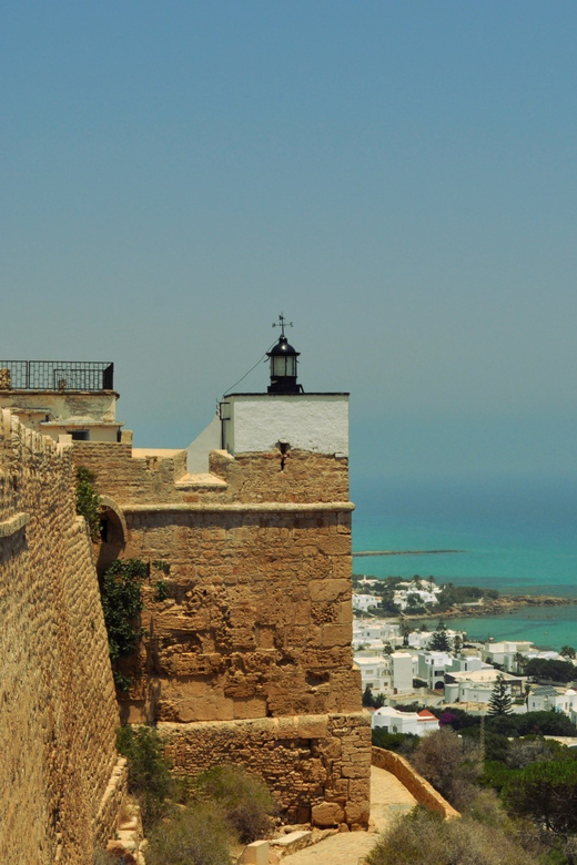 De Tunis ou Hammamet: Excursão de 1 dia à Península de Cap Bon ...
